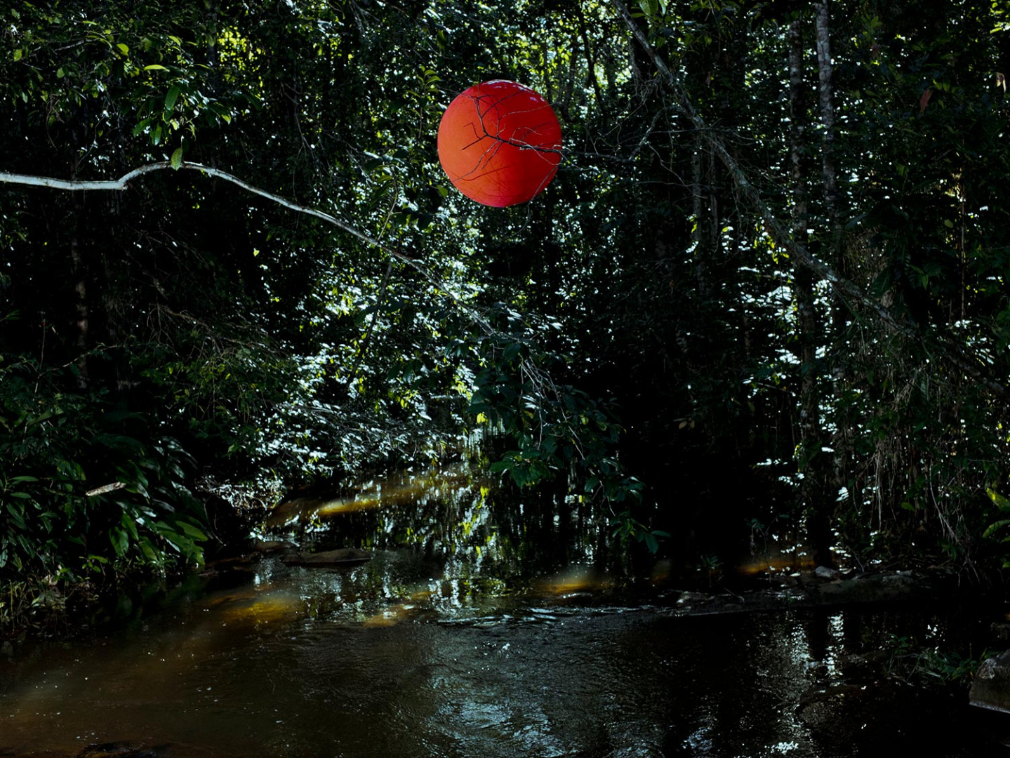 Exhibitions | Events types | Magnum Photos Events