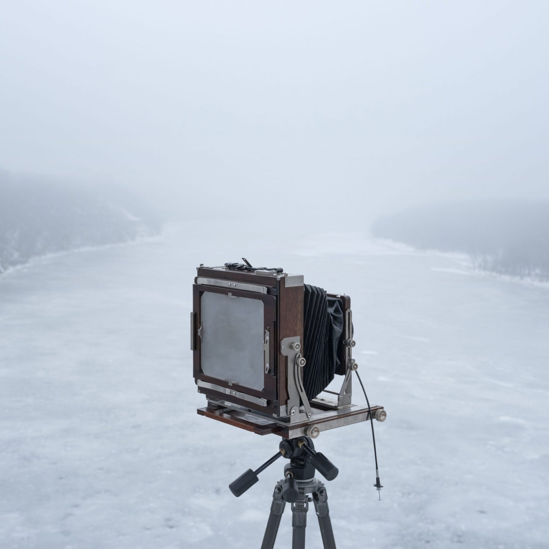 Alec-Camera-1-1 | Magnum Learn