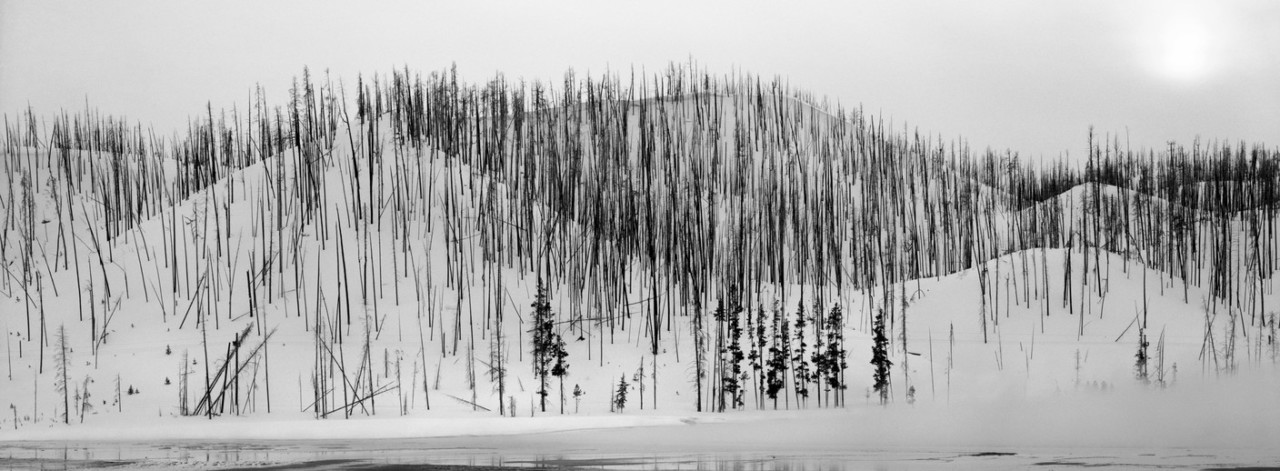 | Magnum Photos
