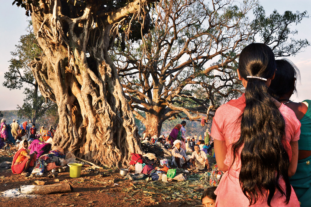 Trees | Magnum Photos