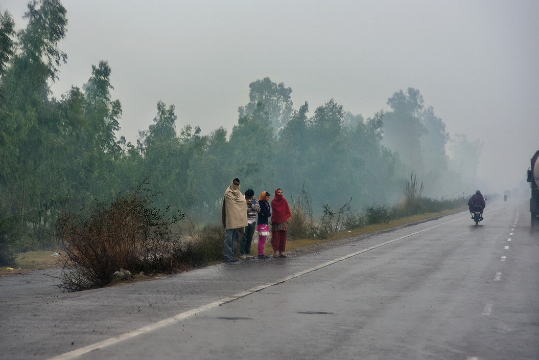 Trees | Magnum Photos