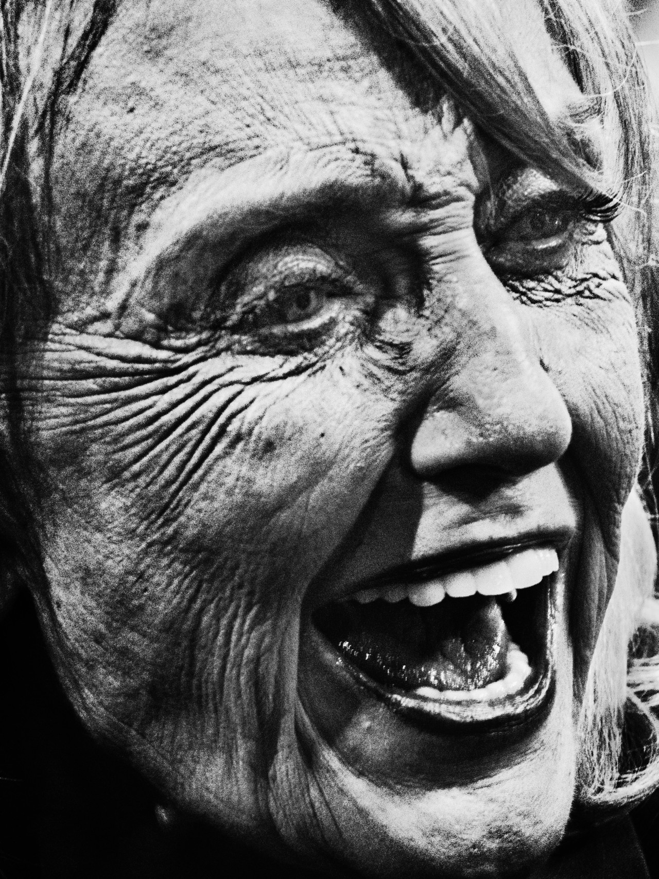 Stump • Christopher Anderson • Magnum Photos