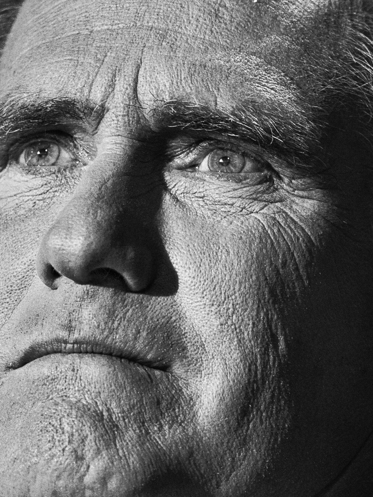 Stump • Christopher Anderson • Magnum Photos