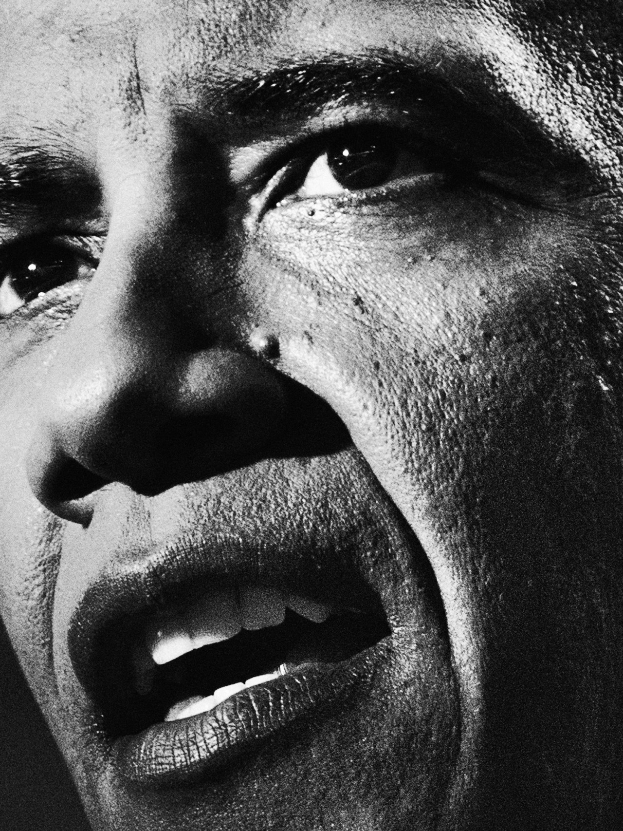 Stump • Christopher Anderson • Magnum Photos