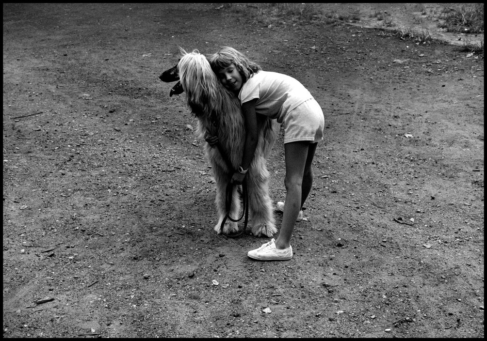 Dog Dogs | Magnum Photos