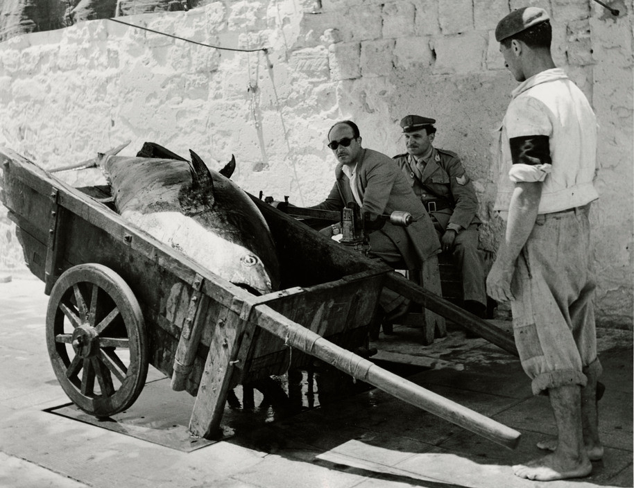 La Mattanza - La Tonnara | Magnum Photos