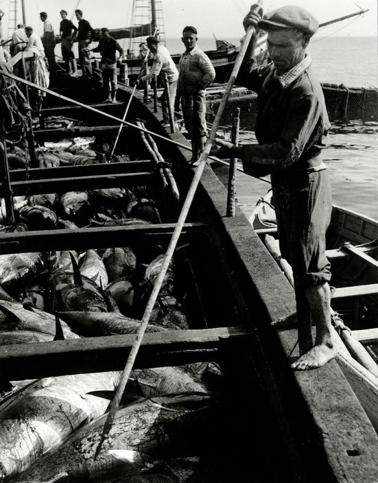 La Mattanza - La Tonnara | Magnum Photos