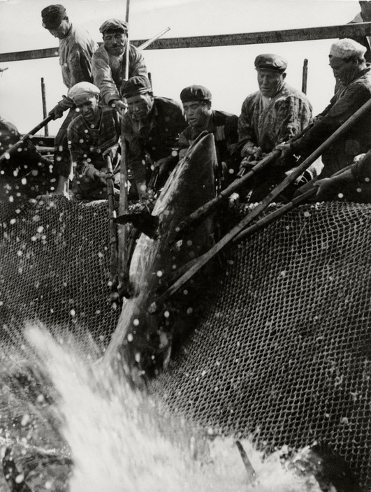 La Mattanza - La Tonnara | Magnum Photos