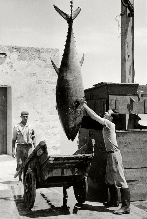 La Mattanza - La Tonnara | Magnum Photos