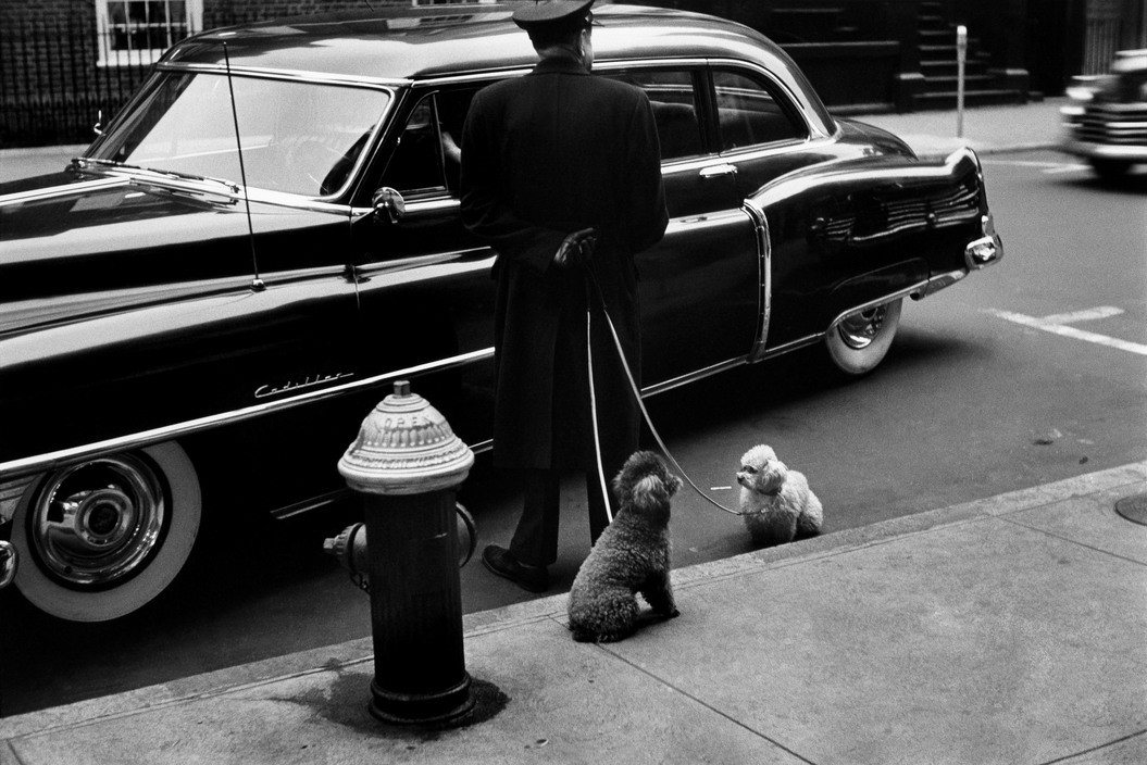 Chinese Year of the Dog • Elliott Erwitt • Magnum Photos