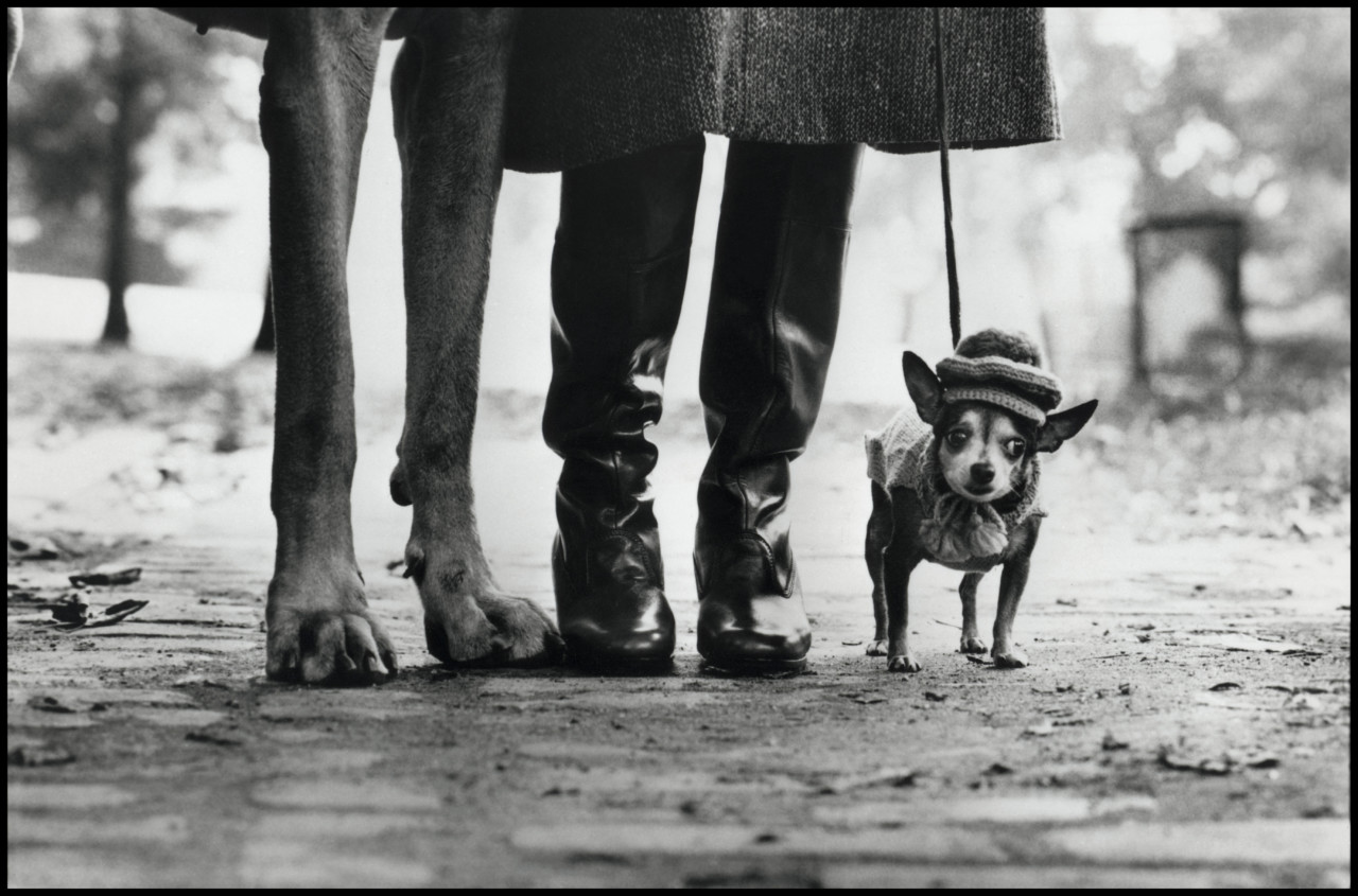 Life According to Elliott Erwitt • Elliott Erwitt • Magnum Photos