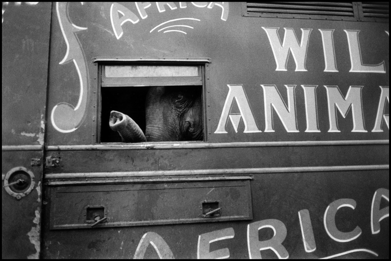 Bruce Davidson • Circus • Magnum Photos