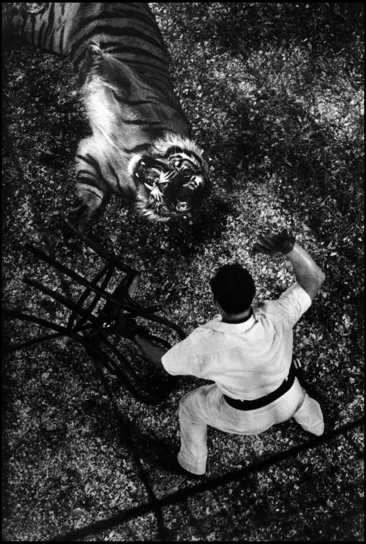 Bruce Davidson • Circus • Magnum Photos