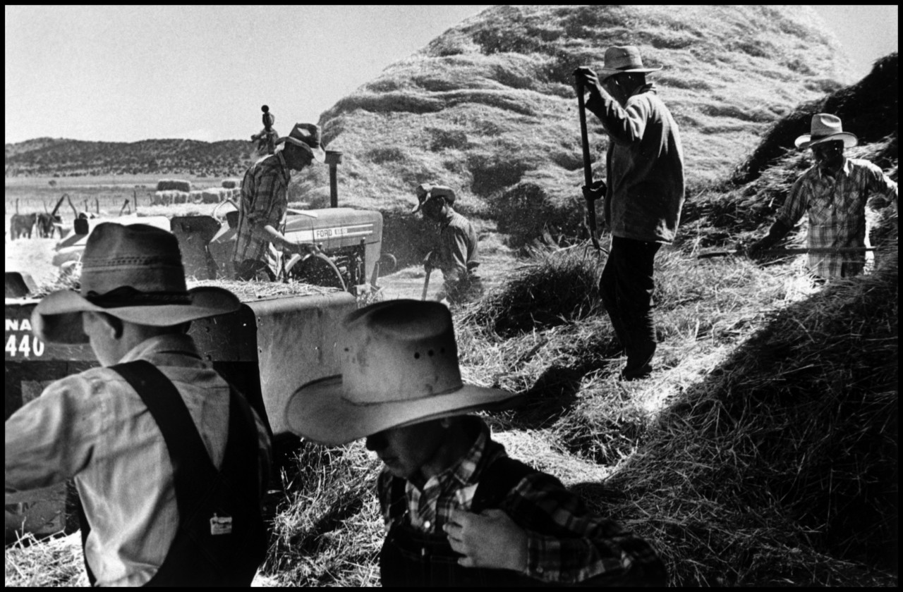 Music and Photography • Larry Towell • Magnum Photos