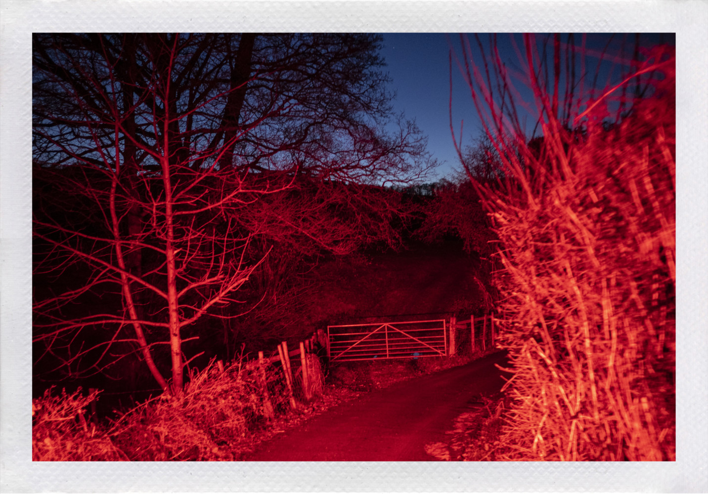 nn11547465.jpg | Magnum Photos